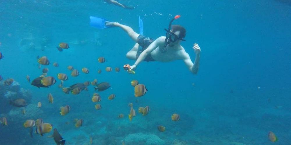 Bali Nusa Penida Snorkeling Only | Snorkeling at Manta Bay, Gamat Bay ... Bali Nusa Penida Snorkeling Only | Snorkeling at Manta Bay, Gamat Bay ...
